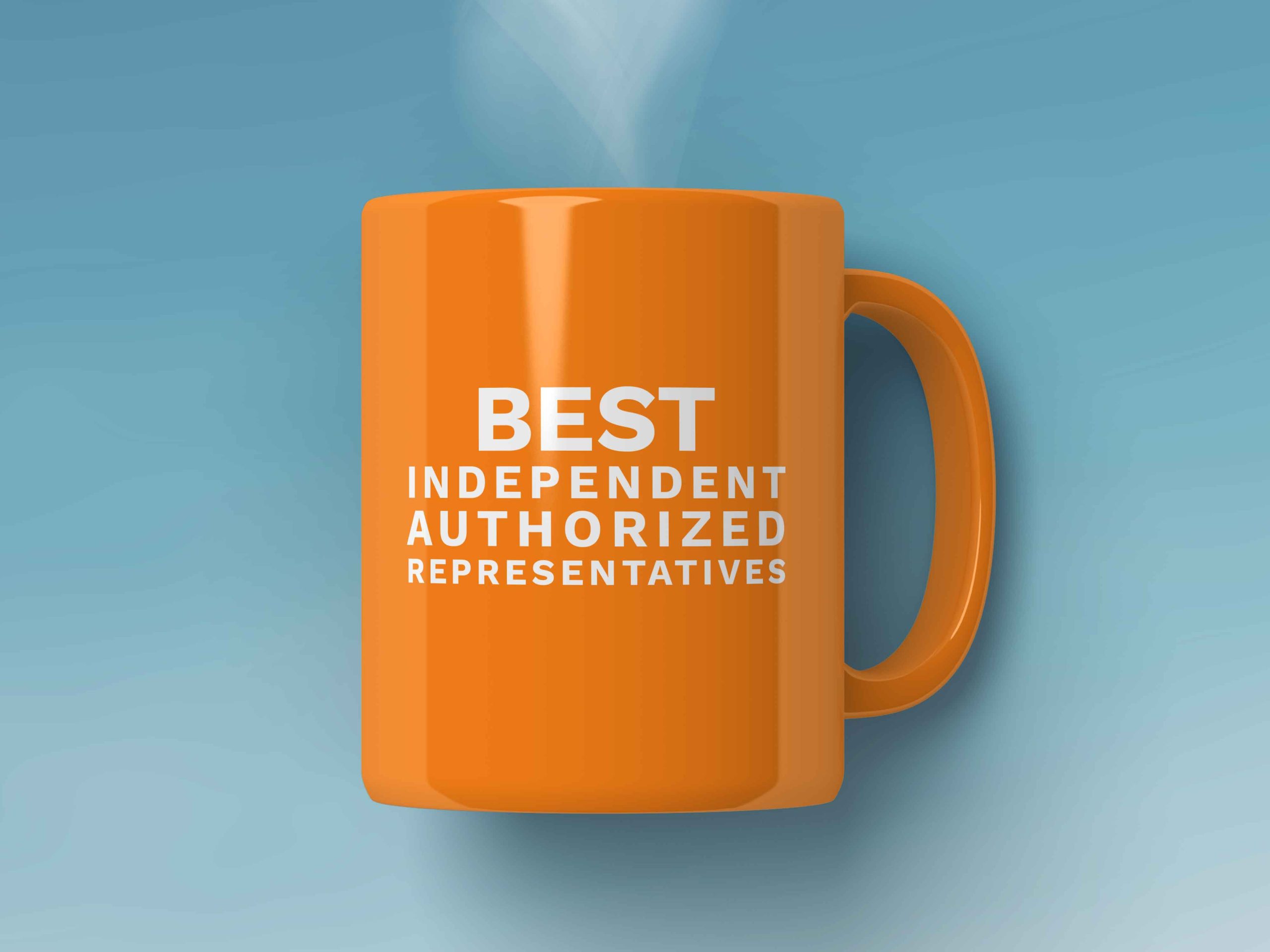 The Role of Independent Authorized Representatives and License Holders ...